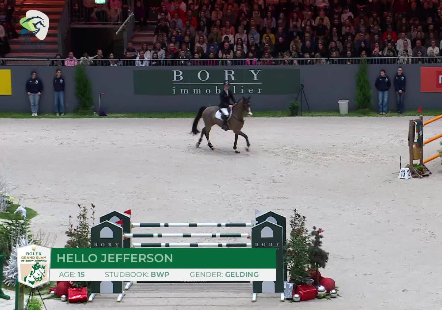 Sandra Auffarth with Quirici H - TSCHIO Aachen 2026 - Round 1 - Video