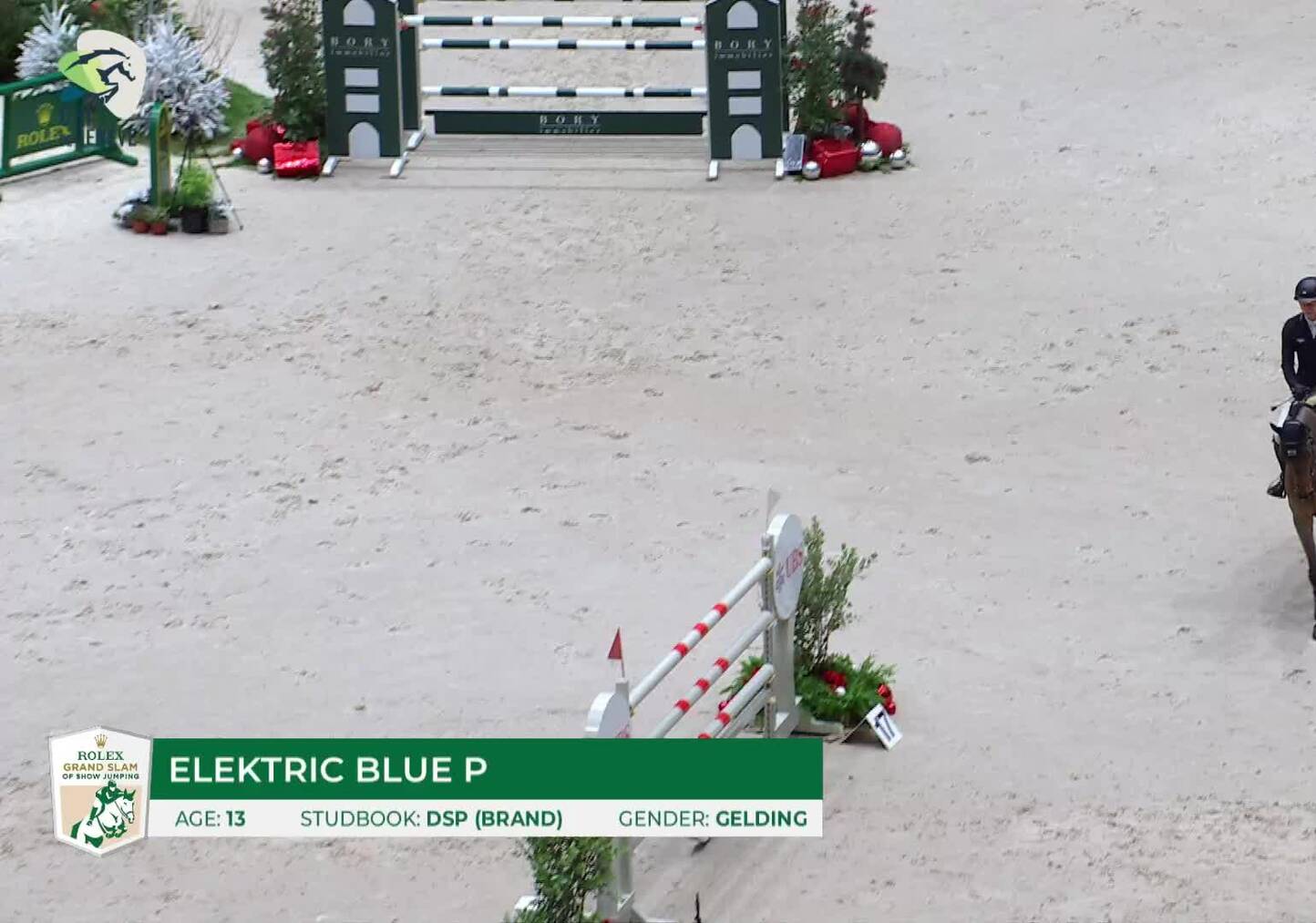 Daniel Deusser with Otello de Guldenboom - TSCHIO Aachen 2026 - Round 1 ...