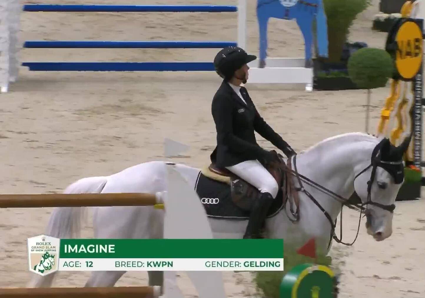 Kim Emmen with Imagine - CSI5* The Dutch Masters 2025 - Round 1 - Video