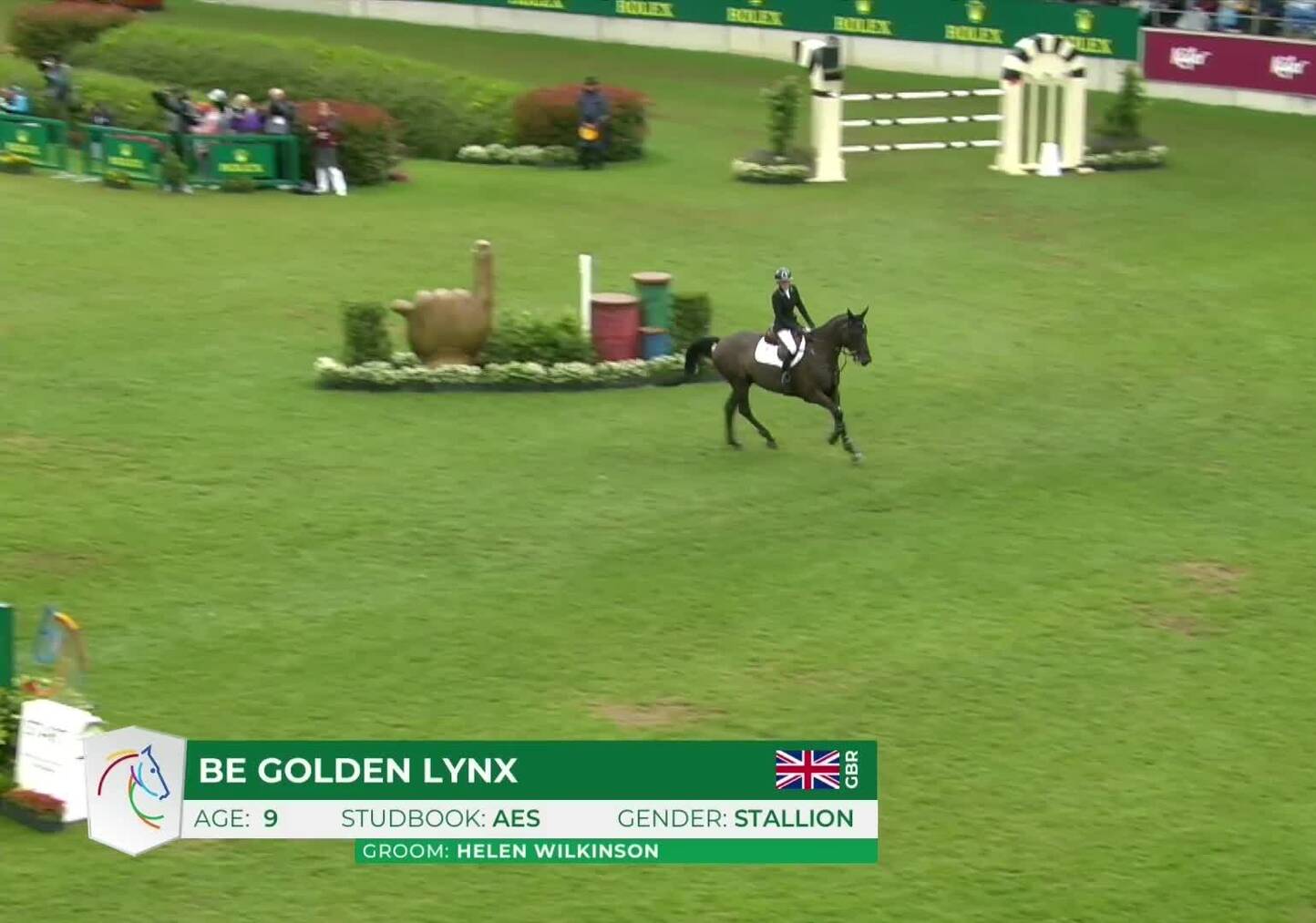 Georgia Tame with Be Golden Lynx - CSIO5* Aix-la-Chapelle 2025 - Round ...
